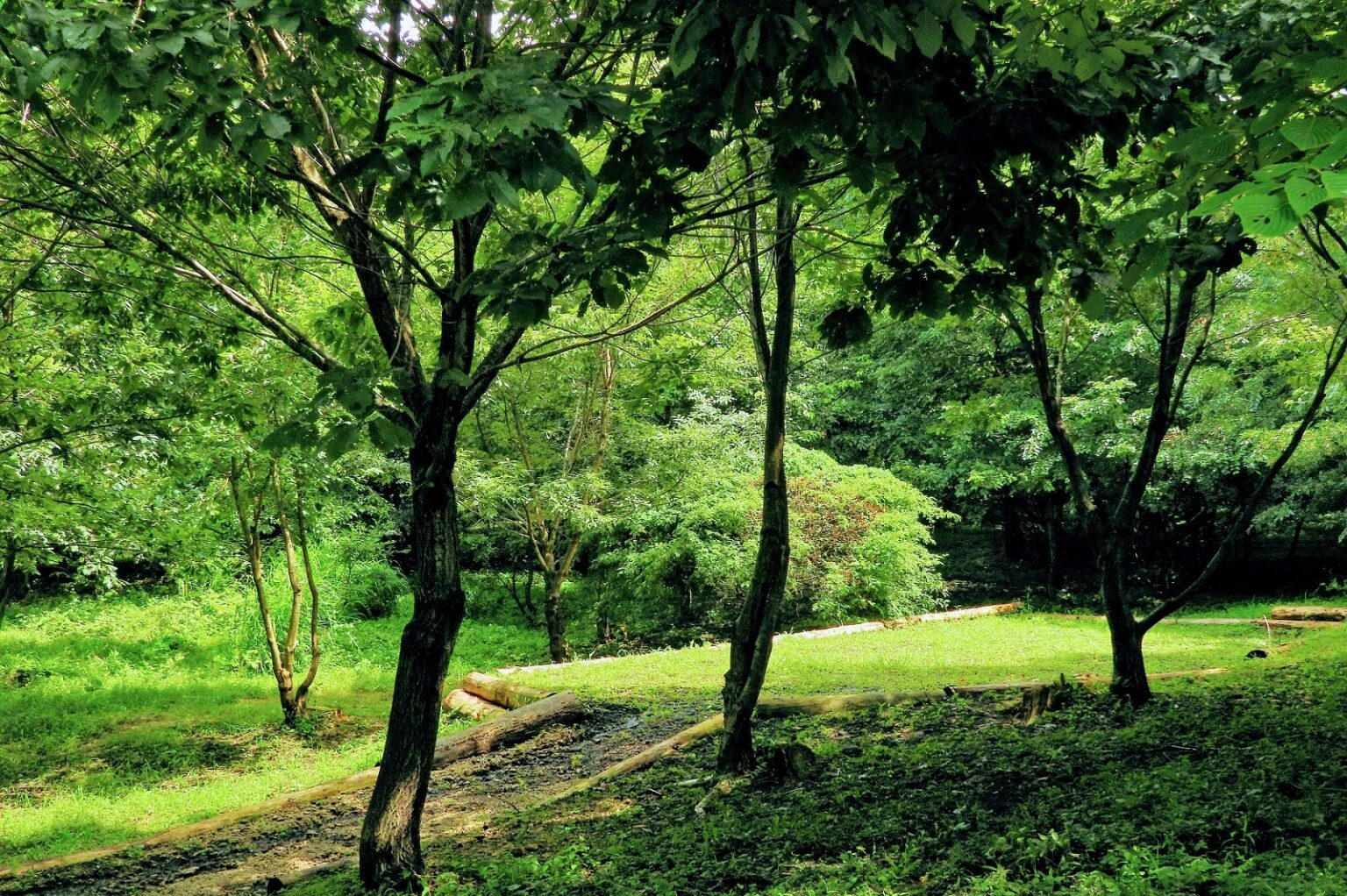 vantner × 森 de Camp特別プランのご案内 | vantner