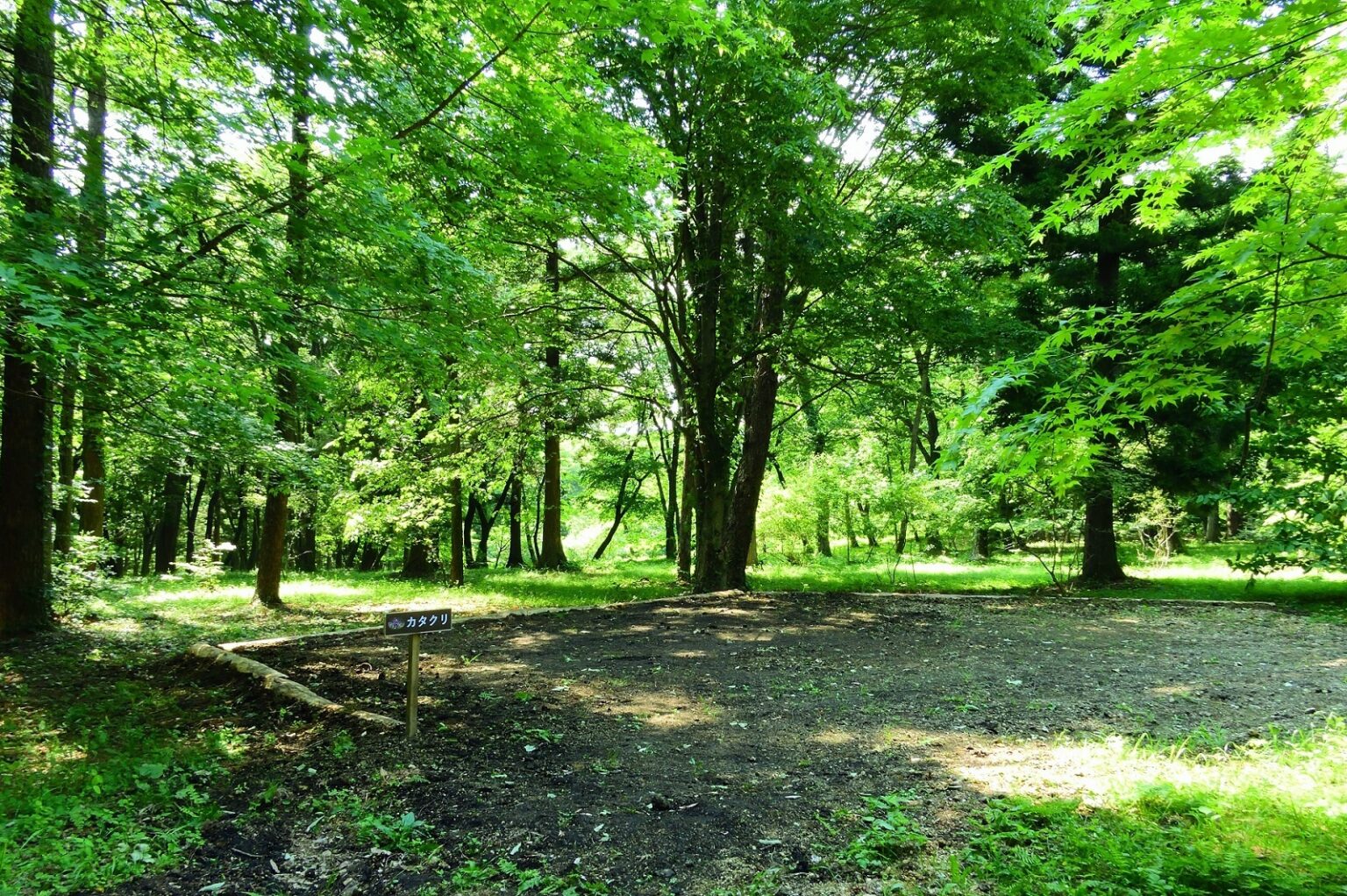 vantner × 森 de Camp特別プランのご案内 | vantner