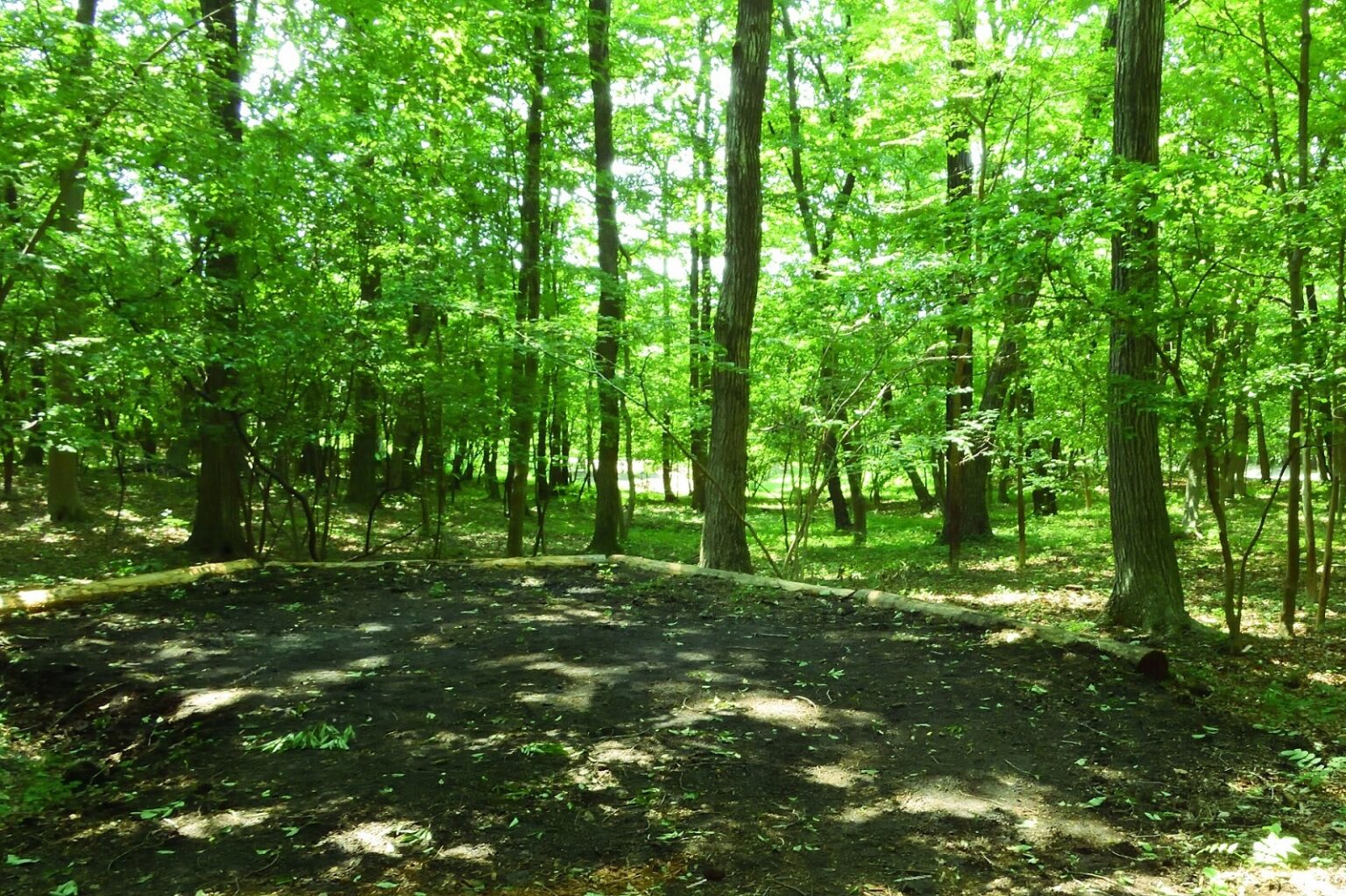 vantner × 森 de Camp特別プランのご案内 | vantner