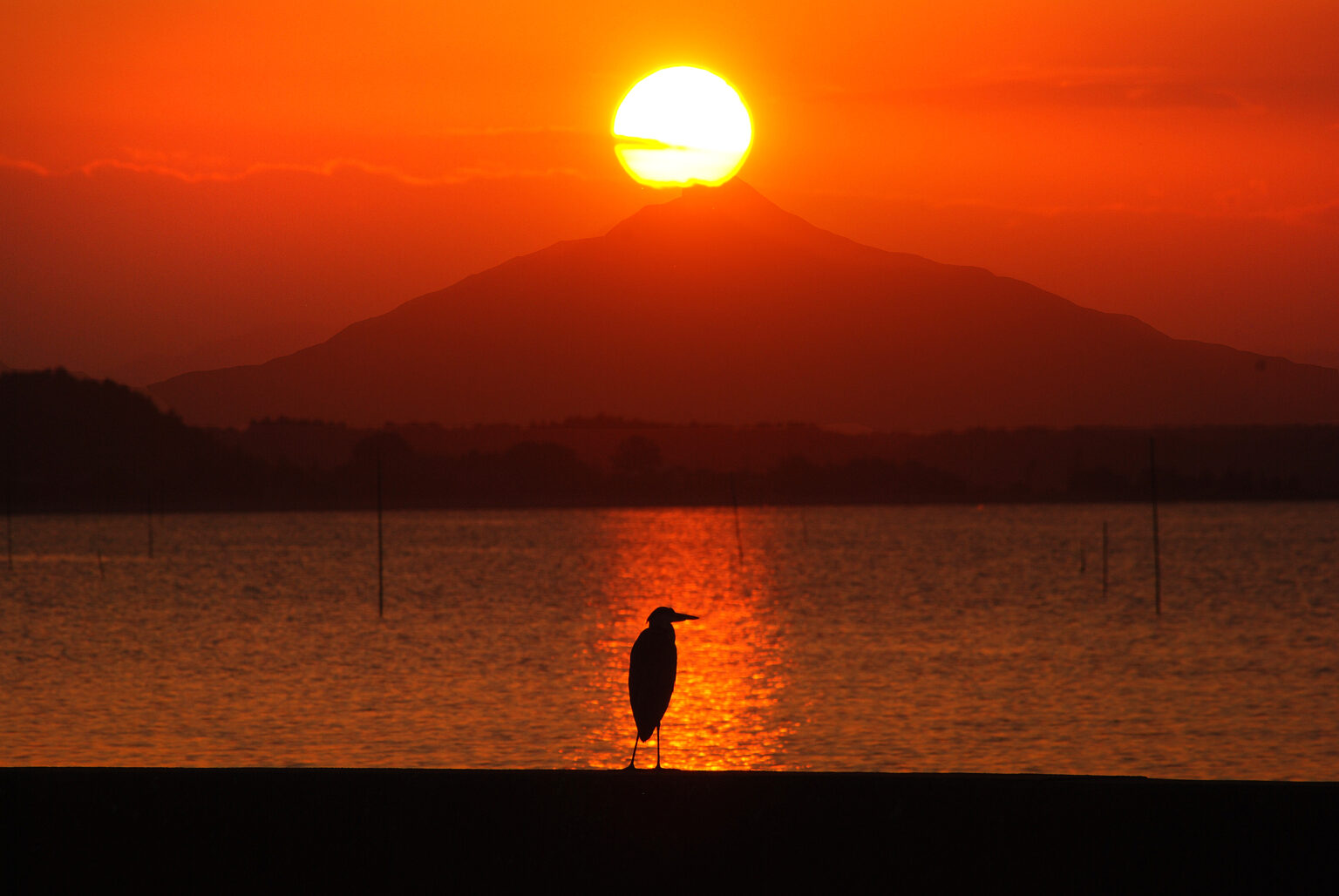 vantner × 大洗キャンプ特別プランのご案内 | vantner